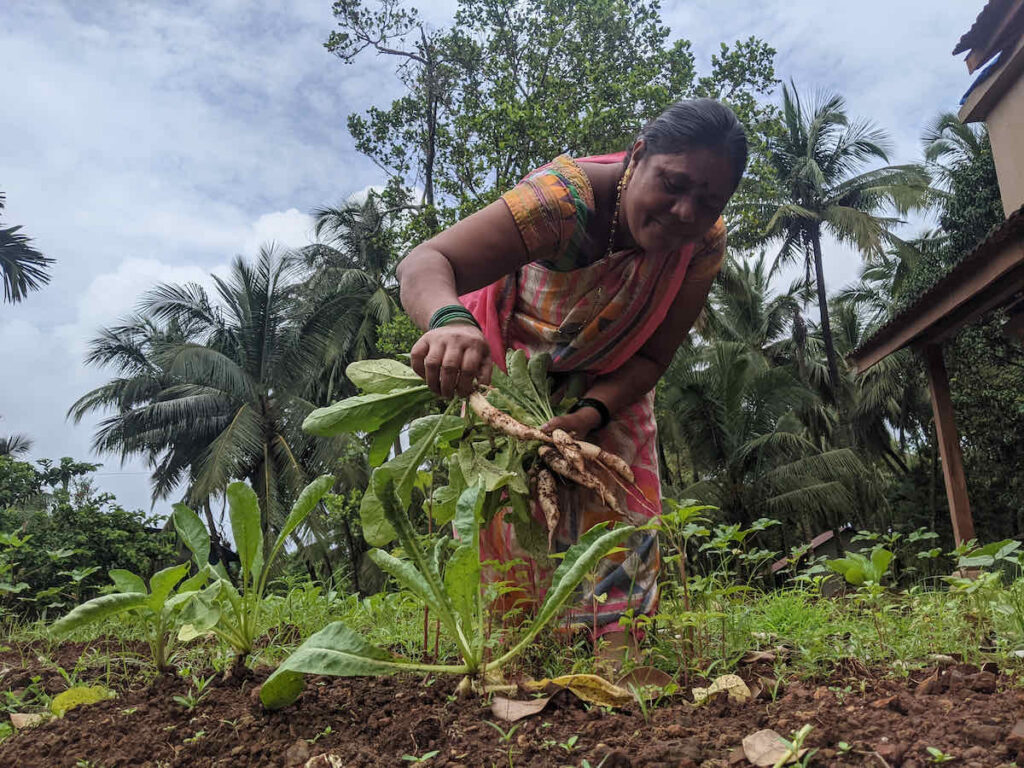 Raan Guhagar | Eco-Living Hostel in the Konkan